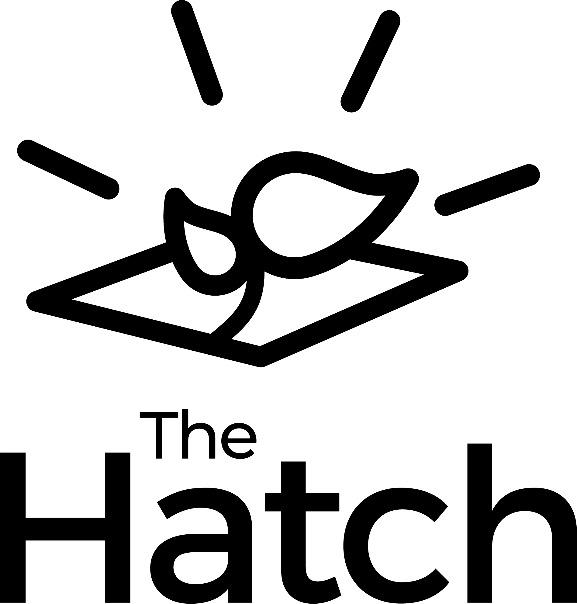 Emerging Artists Exhibition – Raglan Arts Weekend